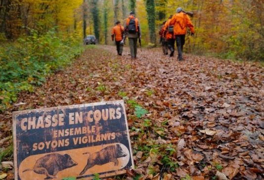 Annonce chasse gratuite sur Chasse Passion - achetez/vendez