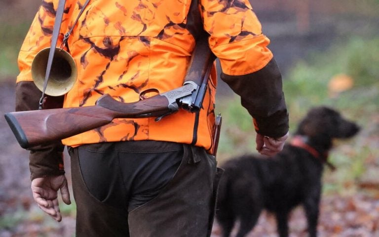 Un chasseur parti dans un bois a découvert un corps dans le département ...