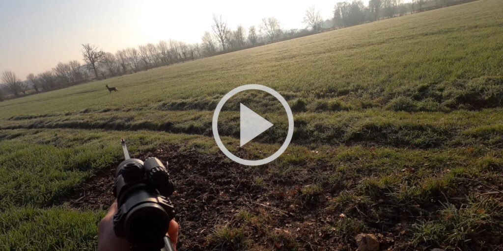 Compilation de battues au grand gibier avec de nombreux chevreuils en ...