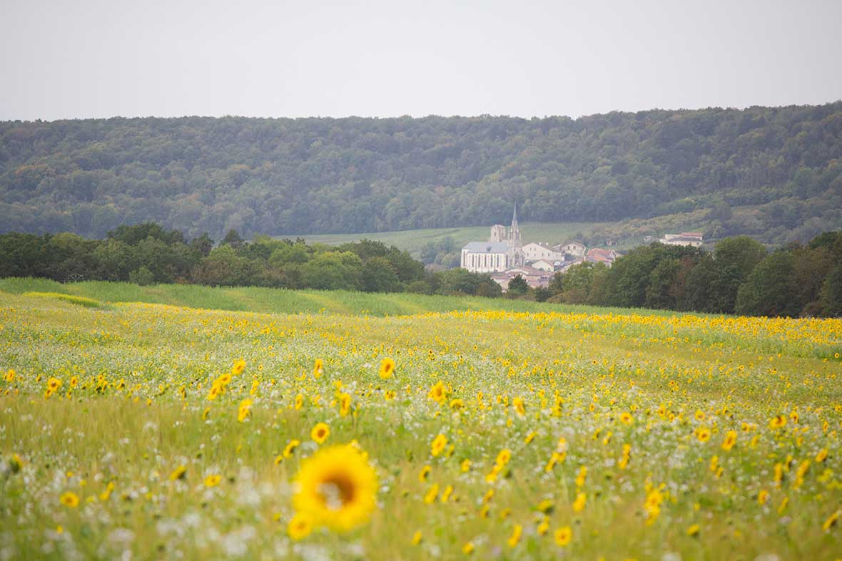 Reportage : la chasse de la Hayette (54) - Chasse Passion