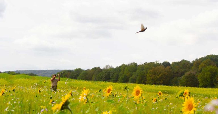 Reportage : la chasse de la Hayette (54) - Chasse Passion