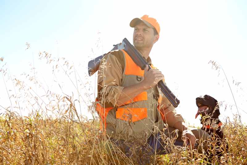 Quel est le vrai prix de la chasse en France ? Permis, équipement ...