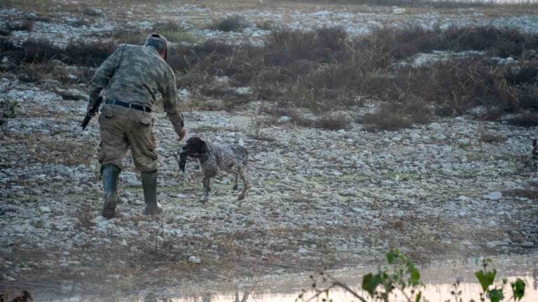 Albanie : l'interdiction totale de la chasse bientôt levée après deux ...