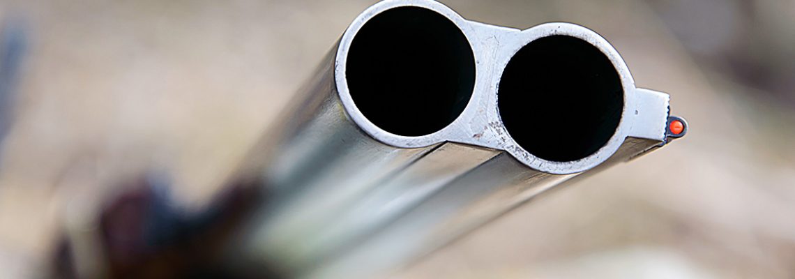 Les canons - Chasse Passion