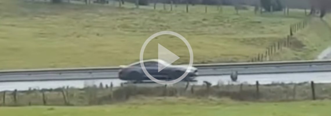 [Vidéo] Percuté par une voiture, un sanglier est projeté à plusieurs ...